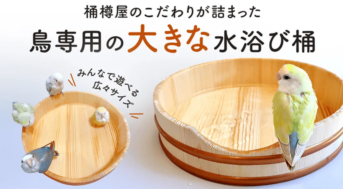 愛鳥家必見！新しく登場した水浴び桶の魅力と特徴を探る - サードニュース